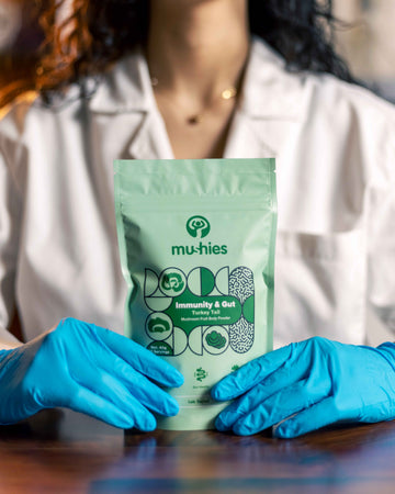 Mushies | Mushroom powders for your Health – Mushies SARL
